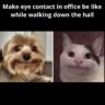 60 Best Office Memes & Jokes: Positive, Funny, Motivational