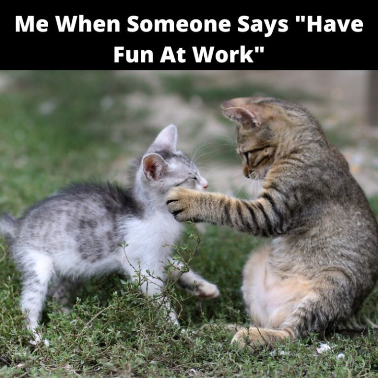 60 Best Office Memes & Jokes: Positive, Funny, Motivational
