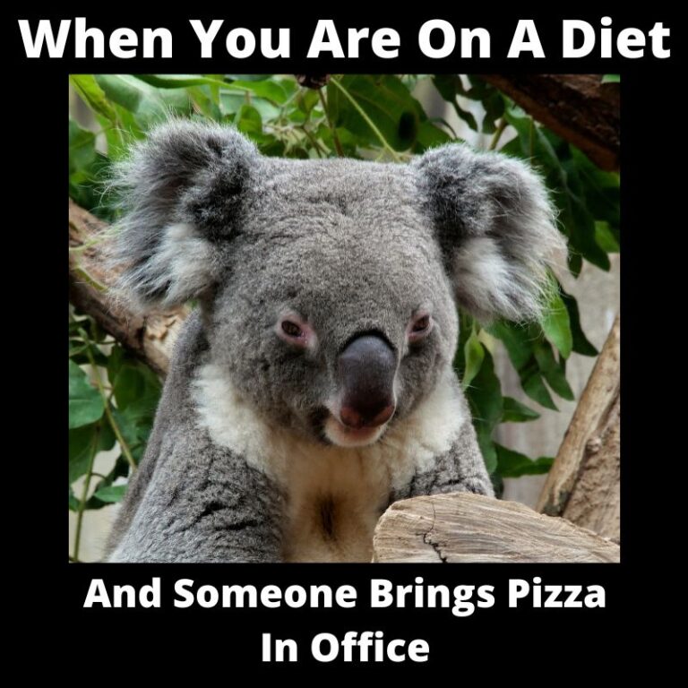 60 Best Office Memes & Jokes: Positive, Funny, Motivational