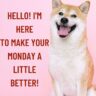50 Best Monday Memes, Jokes 2024: Positive, Funny & Happy