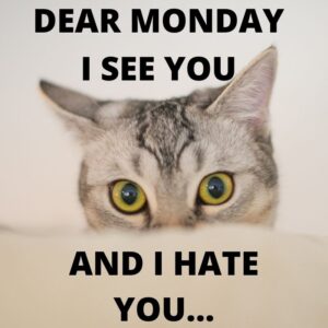 50 Best Monday Memes, Jokes 2024: Positive, Funny & Happy