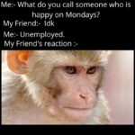 60 Best Office Memes & Jokes: Positive, Funny, Motivational