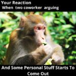 60 Best Office Memes & Jokes: Positive, Funny, Motivational
