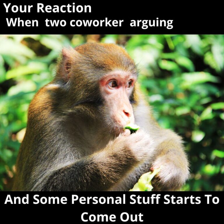 60 Best Office Memes & Jokes: Positive, Funny, Motivational