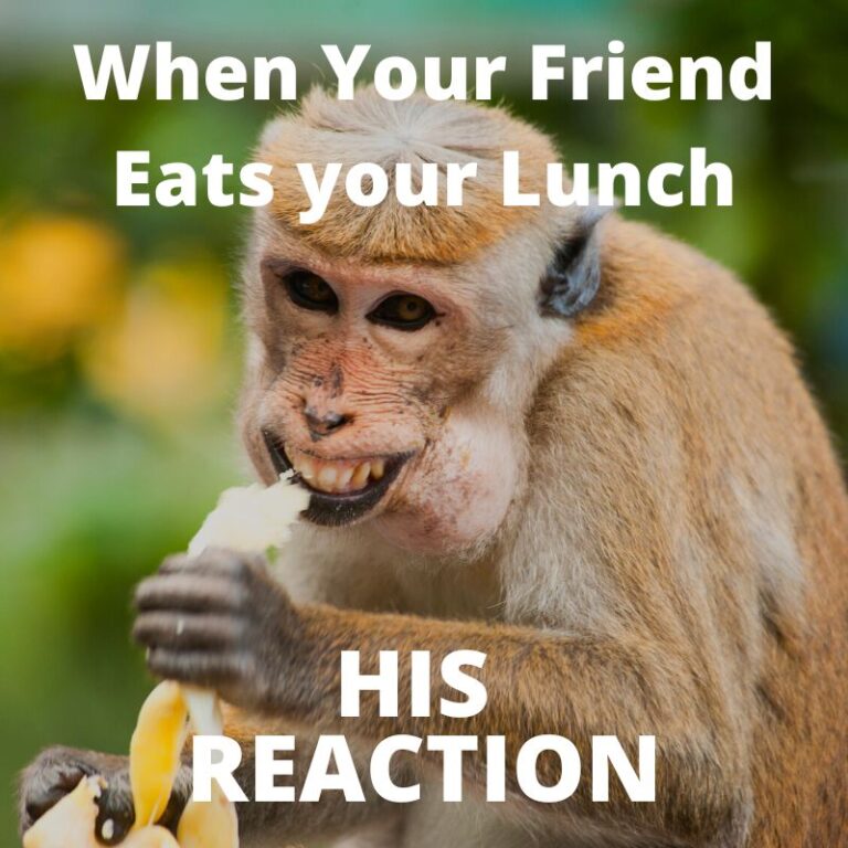 60 Best Office Memes & Jokes: Positive, Funny, Motivational